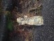 An open letter to David Zeeck - The Last Wilderness